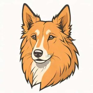 Is Lassie Male Or Female – Tanningoilsa.com